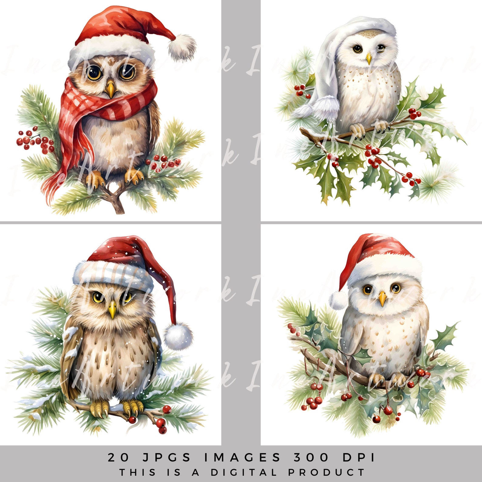 Christmas Owl Clipart | Cute Owl With Red Hat | High Quality Jpgs ...
