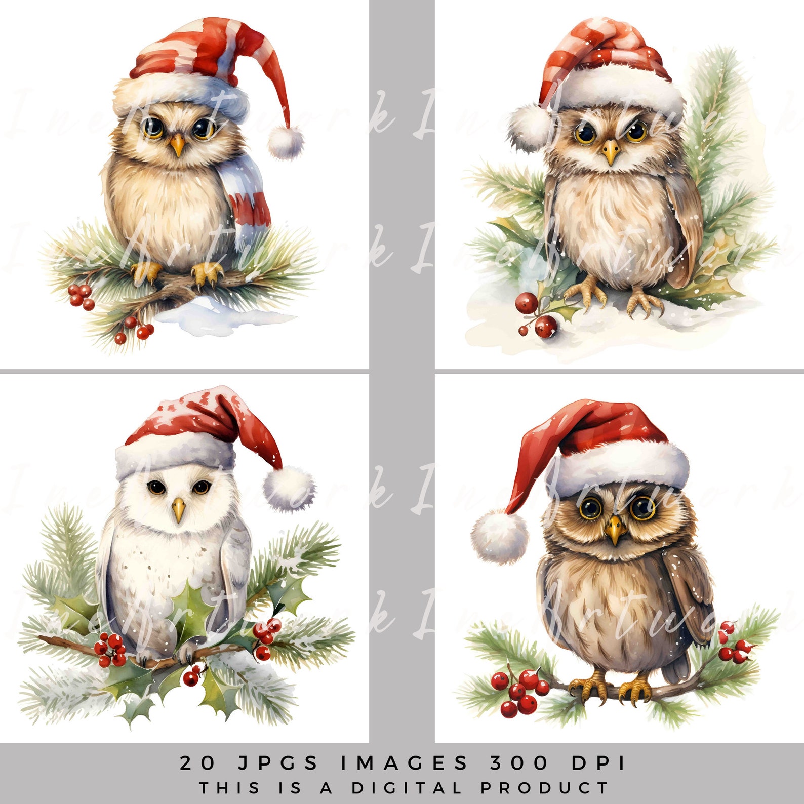Christmas Owl Clipart: Watercolor JPG Images (digital Download) - Etsy