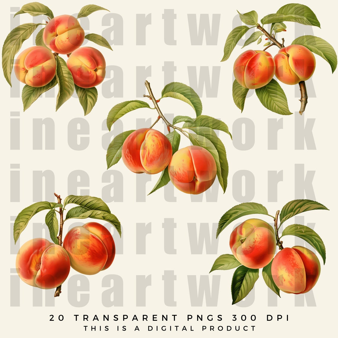 Peach Clipart Peach PNG Fruit Clipart Peach Fruit Clipart Food Clipart ...