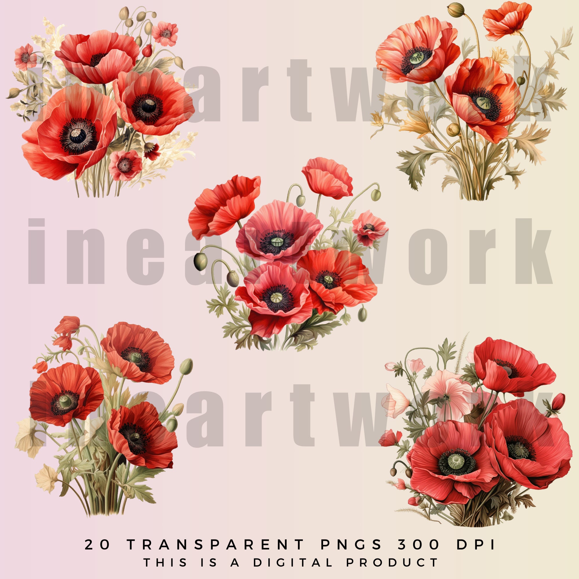 Poppies Anzac Flowers Clipart Watercolor Poppies Red Flowers Veterans ...