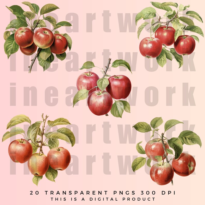 Apple Clipart Apple PNG Fruit Clipart Red Apples Clipart Food Clipart ...