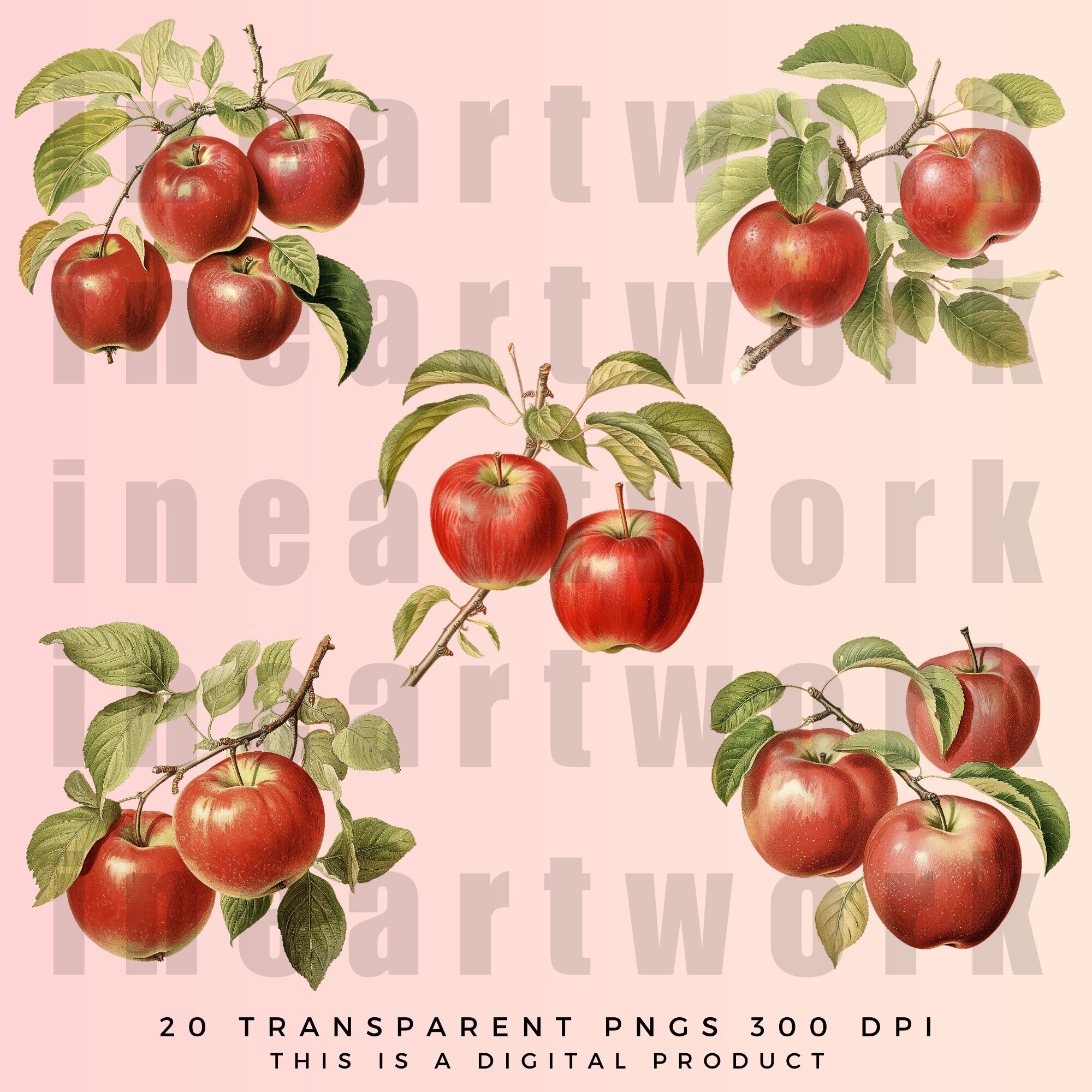 Apple Clipart Apple PNG Fruit Clipart Red Apples Clipart Food Clipart ...