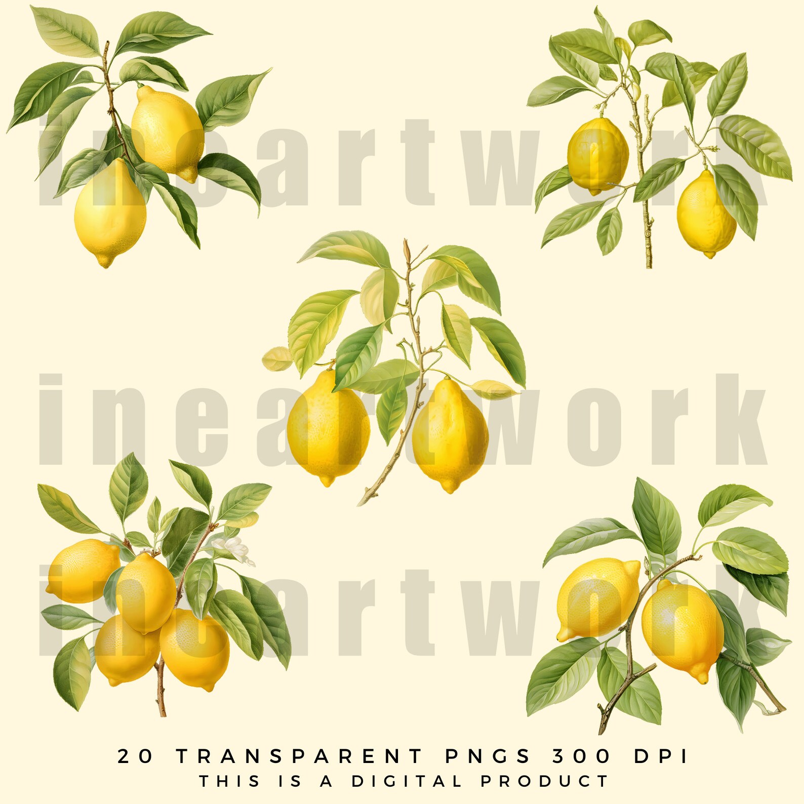 Lemons Clipart Lemon PNG Fruit Clipart Food Clipart Watercolor Fruit ...