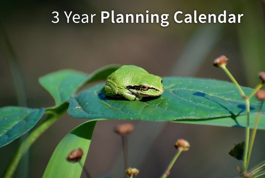 3 Year Planning Calendar - Etsy
