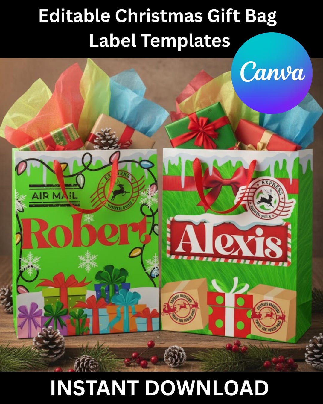 Editable Gift Bag Template | Digital Download - Etsy