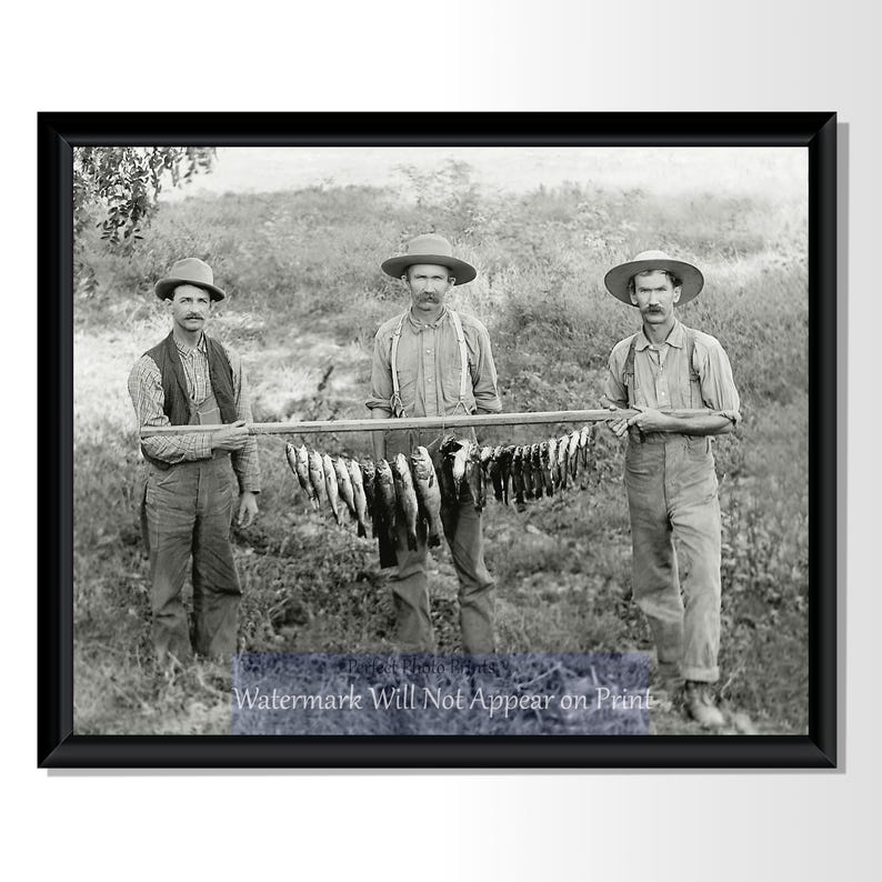 Antique Photo Print of Three Men With Stringer of Bass - Early 1900s ...