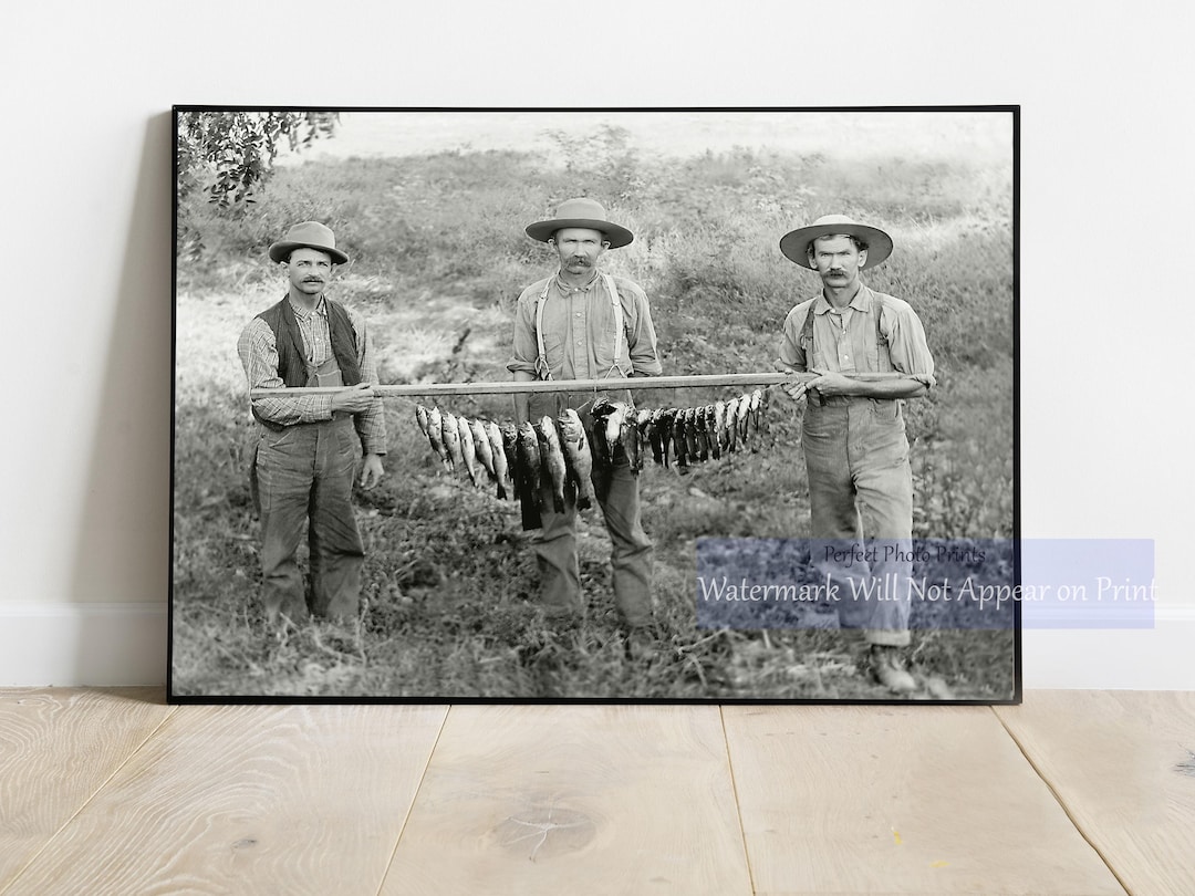 Antique Photo Print of Three Men With Stringer of Bass - Early 1900s ...