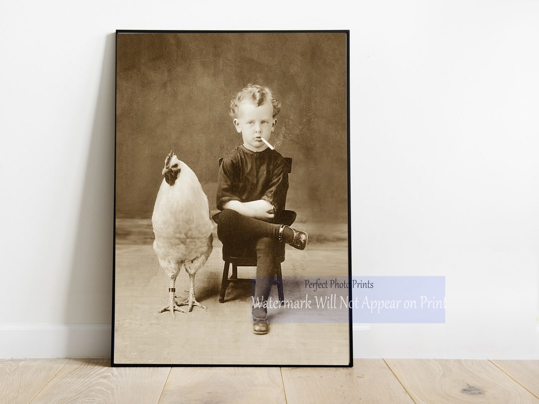 Odd Weird -vintage Photo Print - Boy Smoking on Chair With Chicken ...