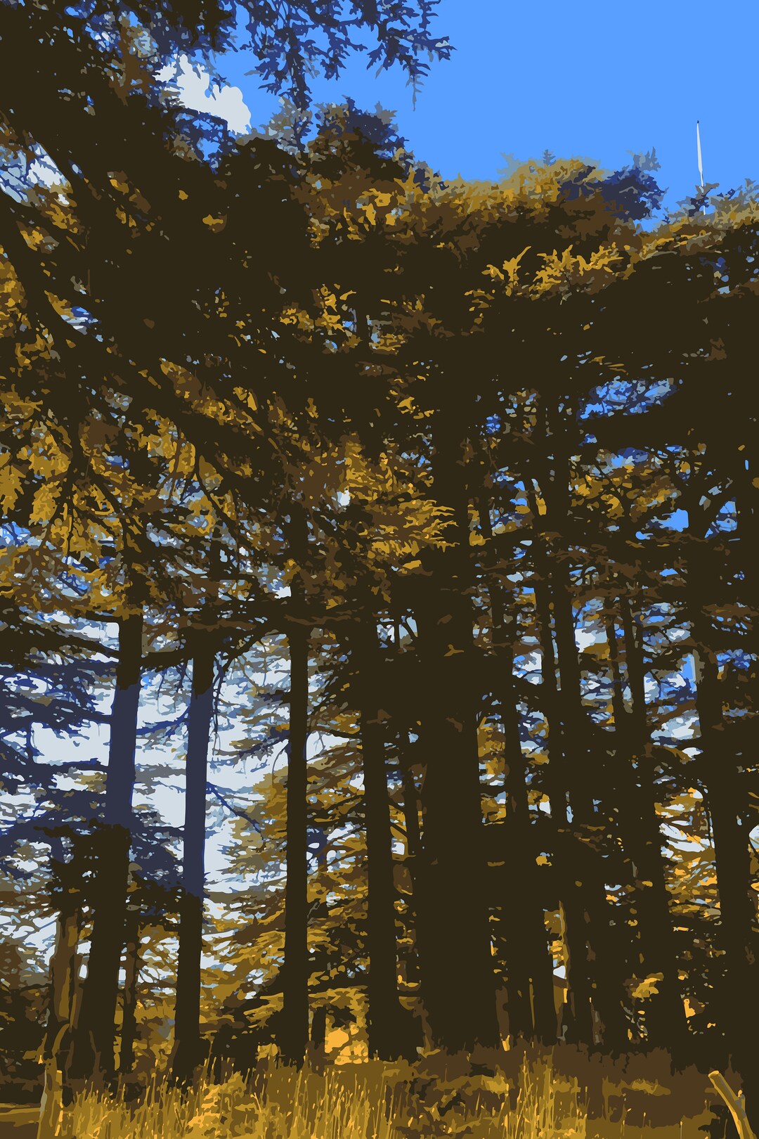 Rustic Cedar Woodland Art: Vintage Nature Prints - Instant Download ...