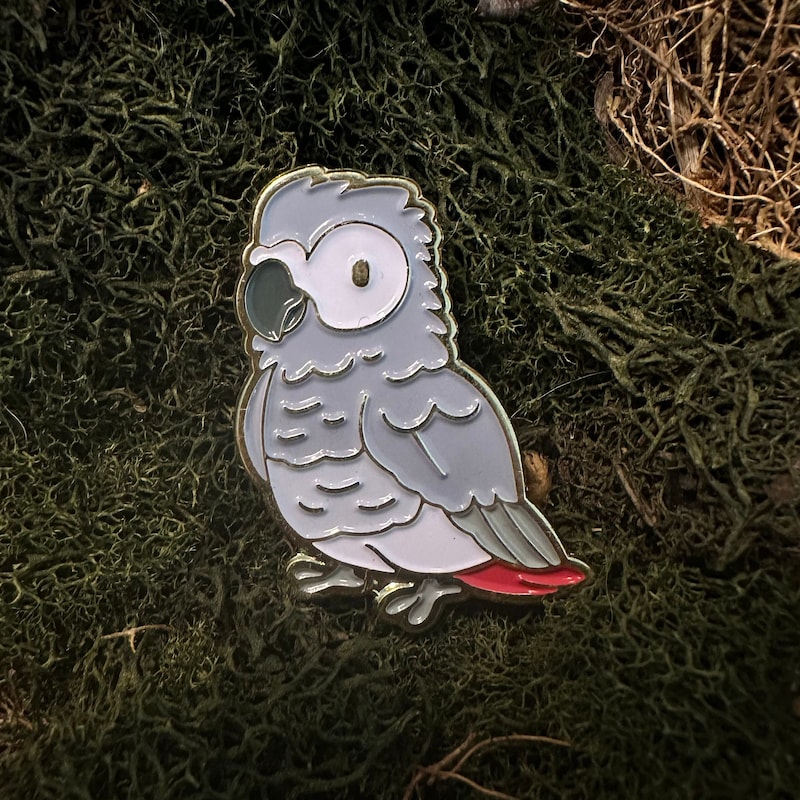 Parrot Pins - Etsy