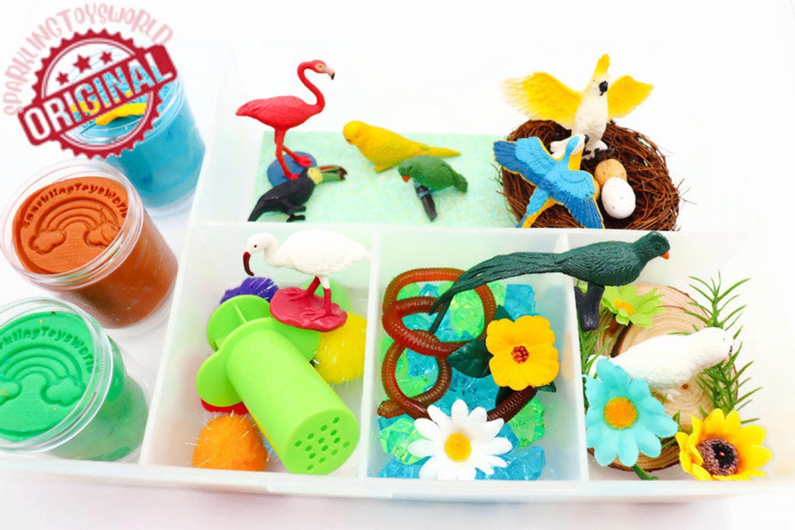 Playdough Kit, Bird Playdough Kit, Playdough Sensory Kit, Play Dough ...