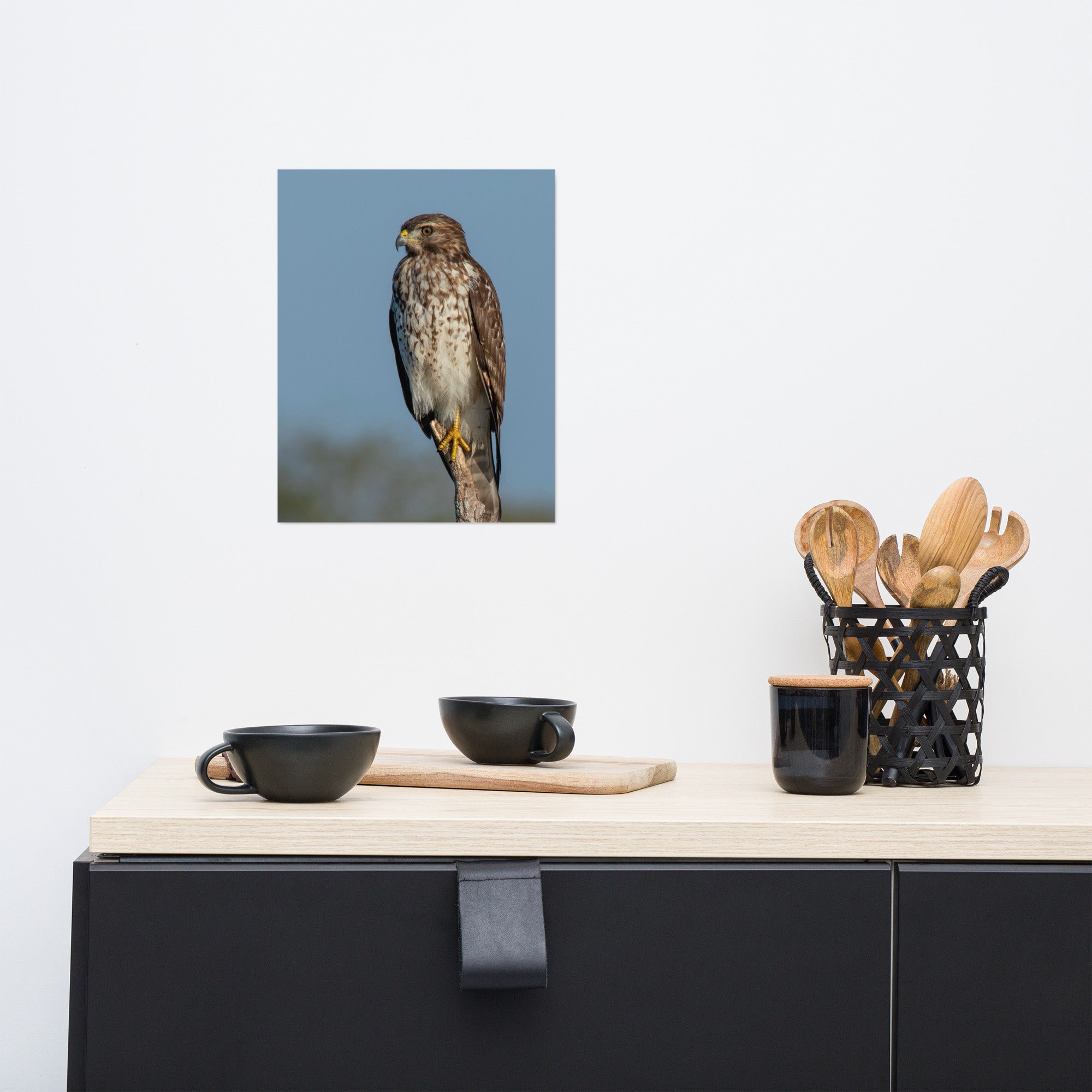 Red Shouldered Hawk Fine Art Print | Hawk Portrait | Hawk Photo | Bird ...