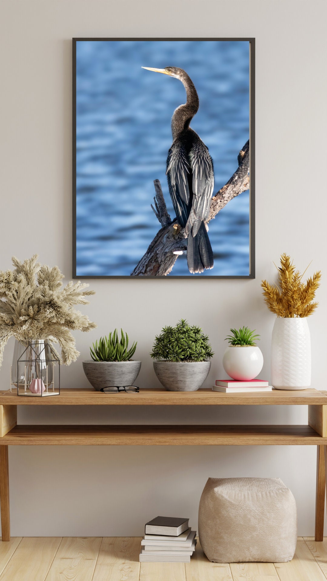 Anhinga Fine Art Print | Anhinga Photo Portrait | Florida Bird ...