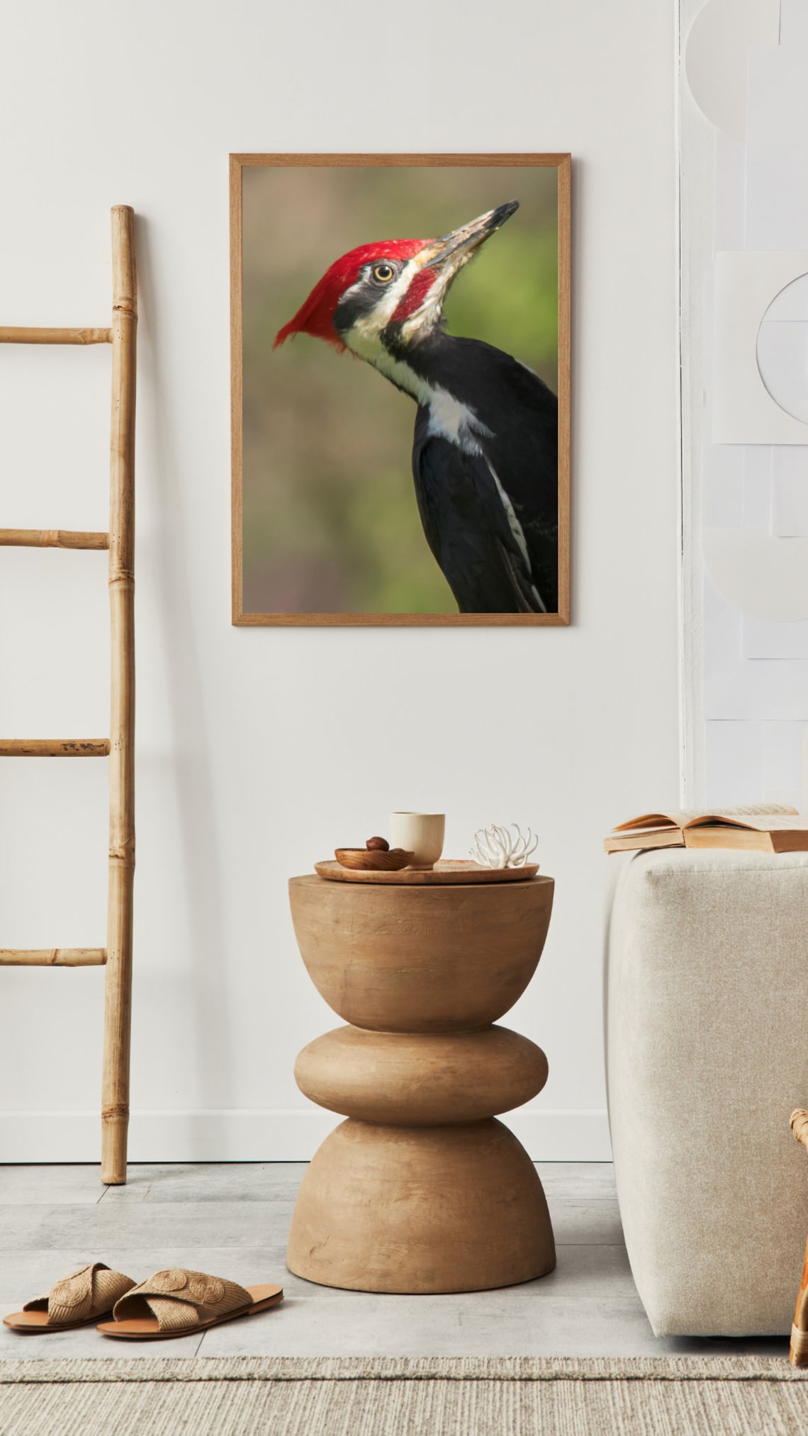 Pileated Woodpecker Fine Art Print | Woodpecker Portrait | Woodpecker ...