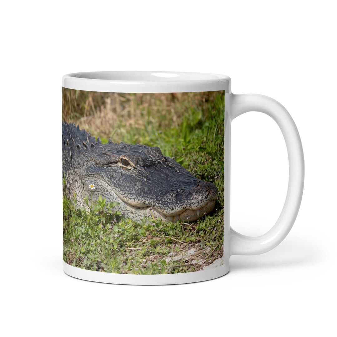 Alligator Coffee Mug | Alligator Coffee Cup | Alligator Photo Mug ...