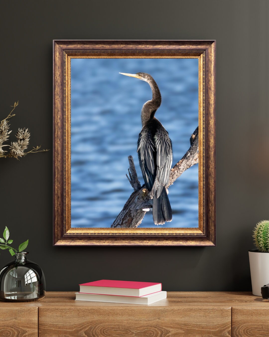 Anhinga Fine Art Print | Anhinga Photo Portrait | Florida Bird ...