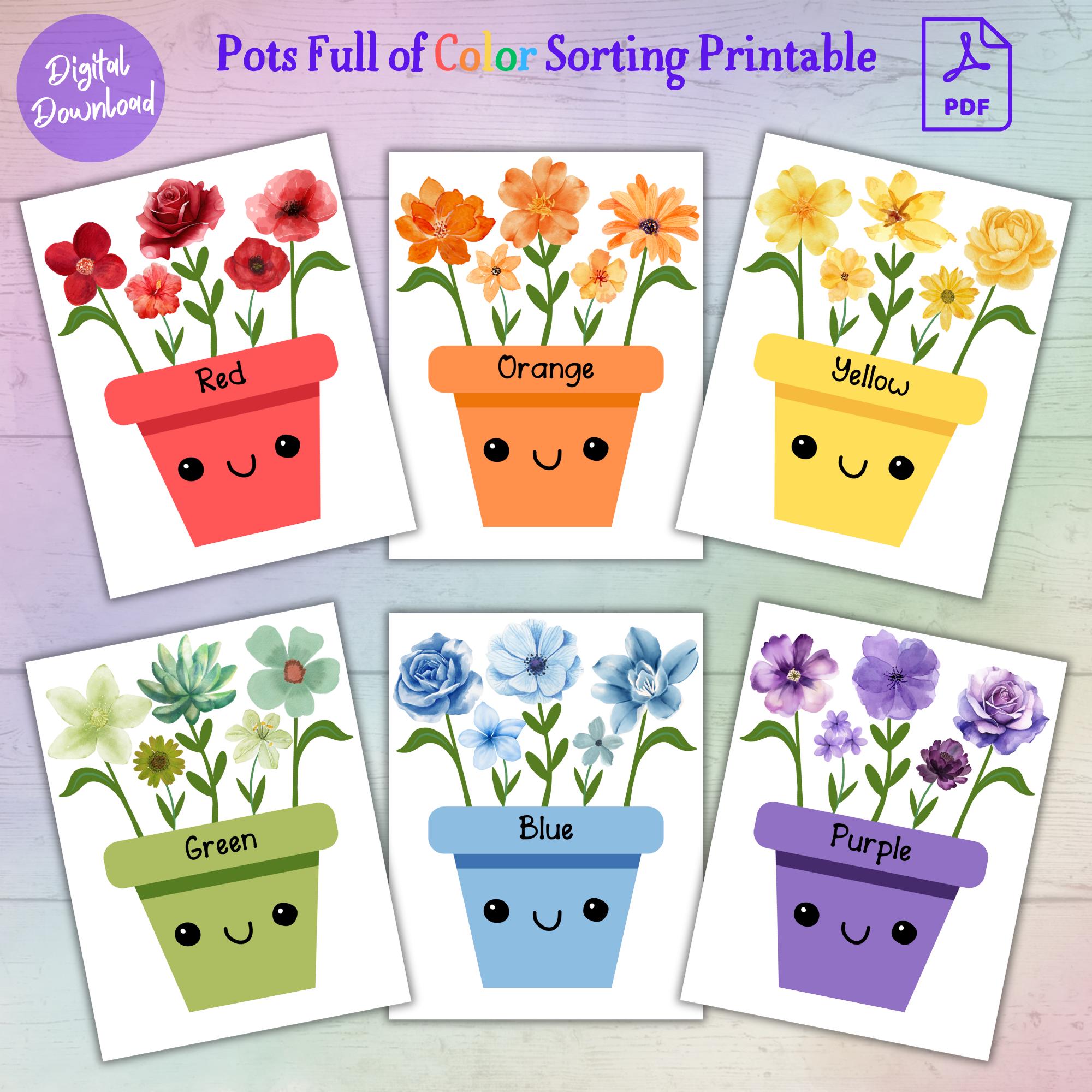 Color Sorting Printable PDF, Autism Non Verbal Children, Pre K, Special ...