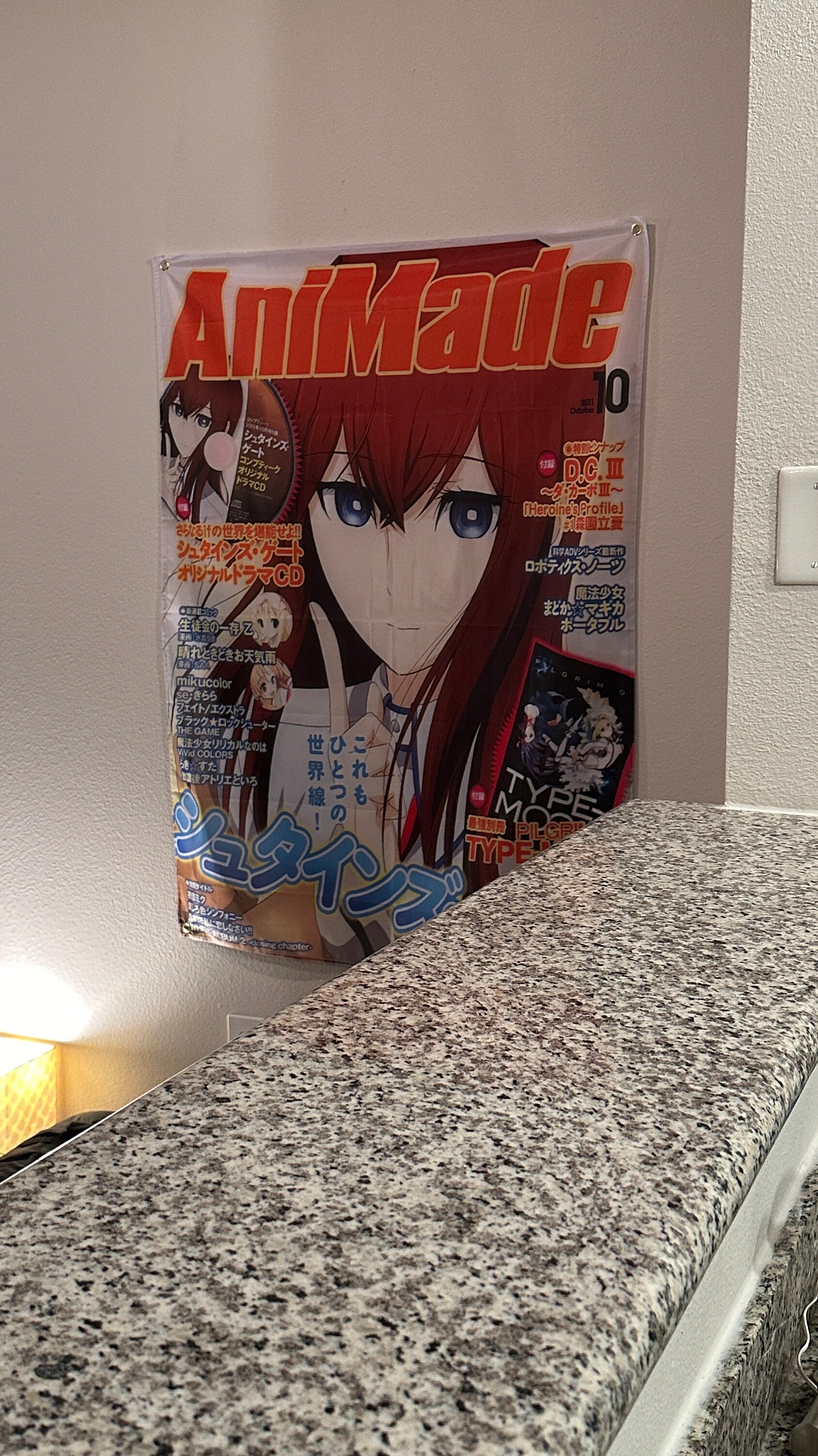 Steins Anime Tapestry Flag, Magazine Cover Art - Etsy