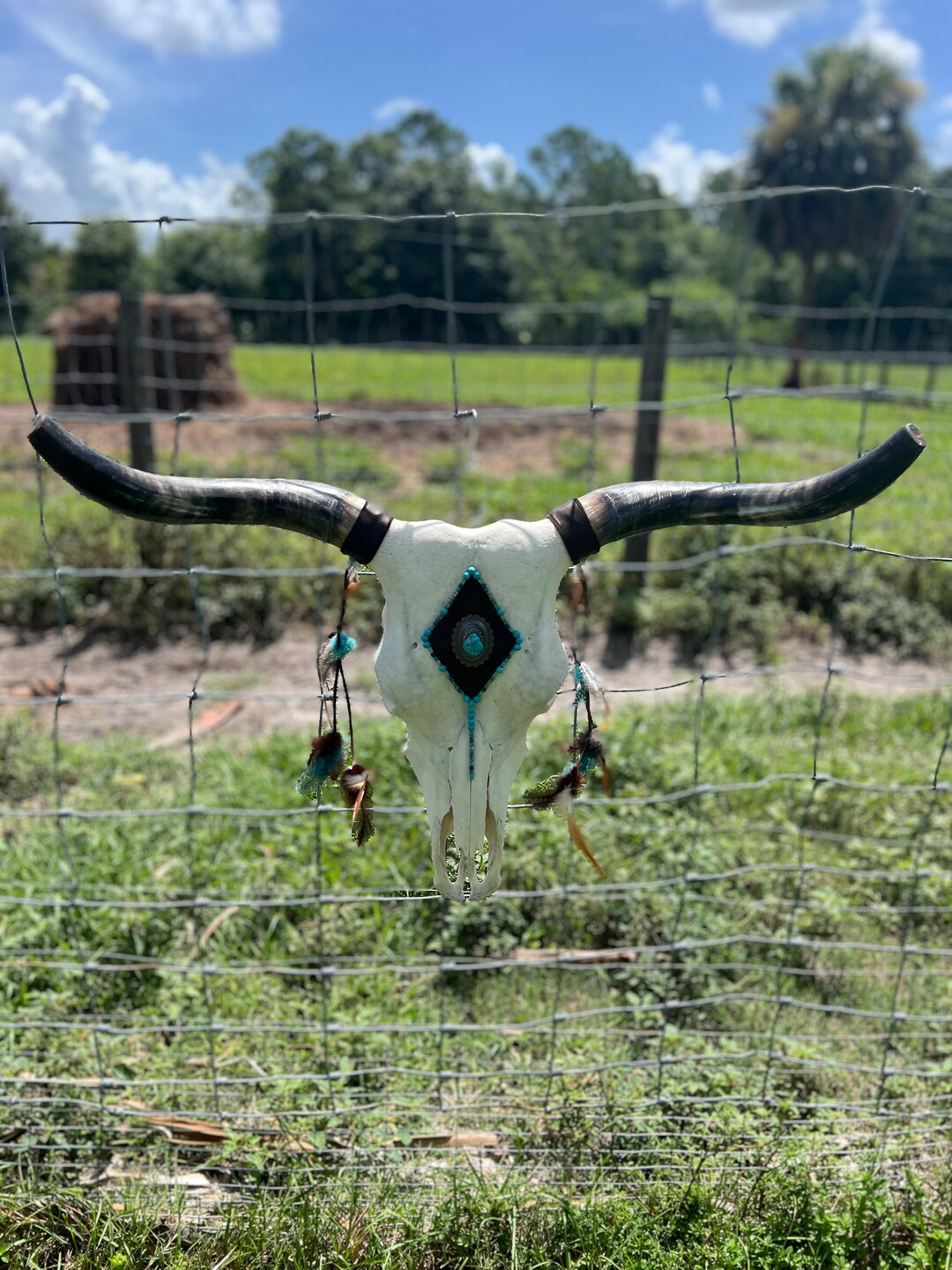30 Authentic Texas Longhorn Skull - Etsy