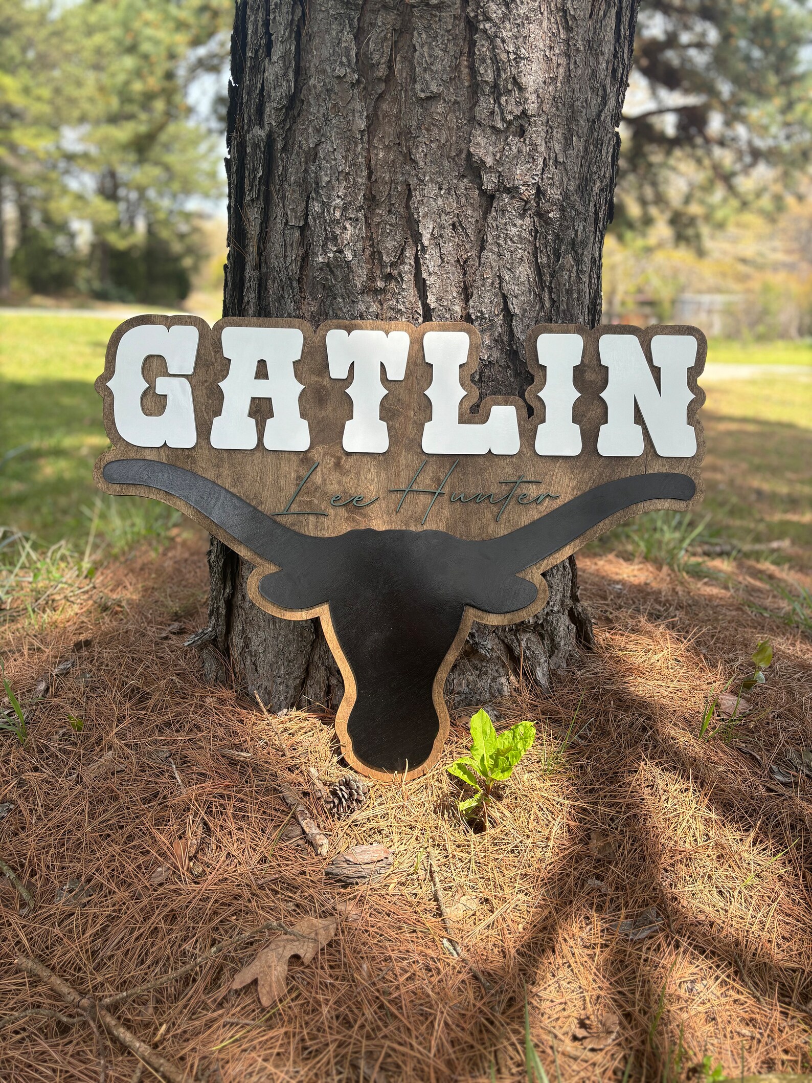 Custom Cow Name Sign for Boys Nursery Longhorn Name Sign Wall Decor ...