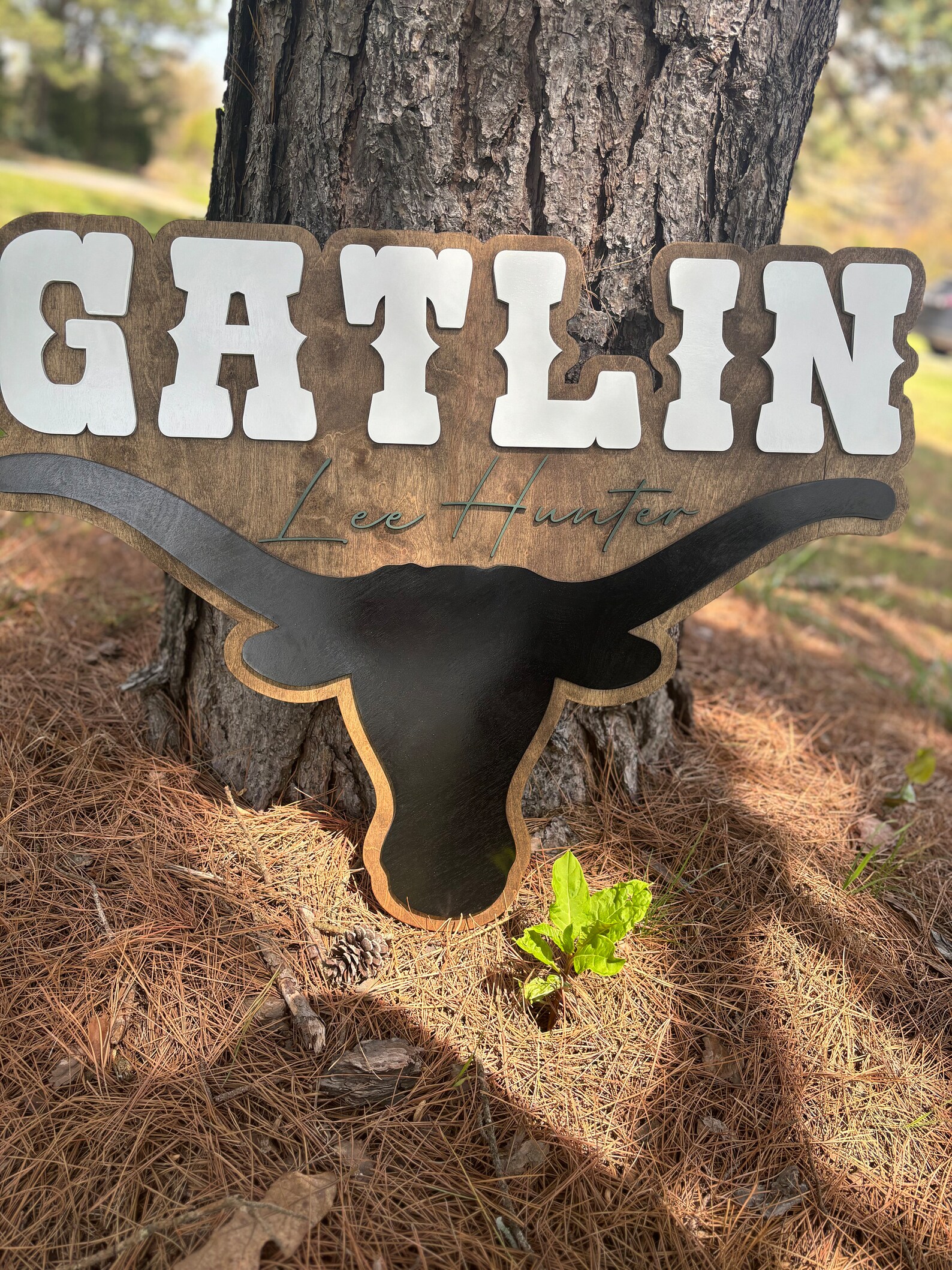 Custom Cow Name Sign for Boys Nursery Longhorn Name Sign Wall Decor ...