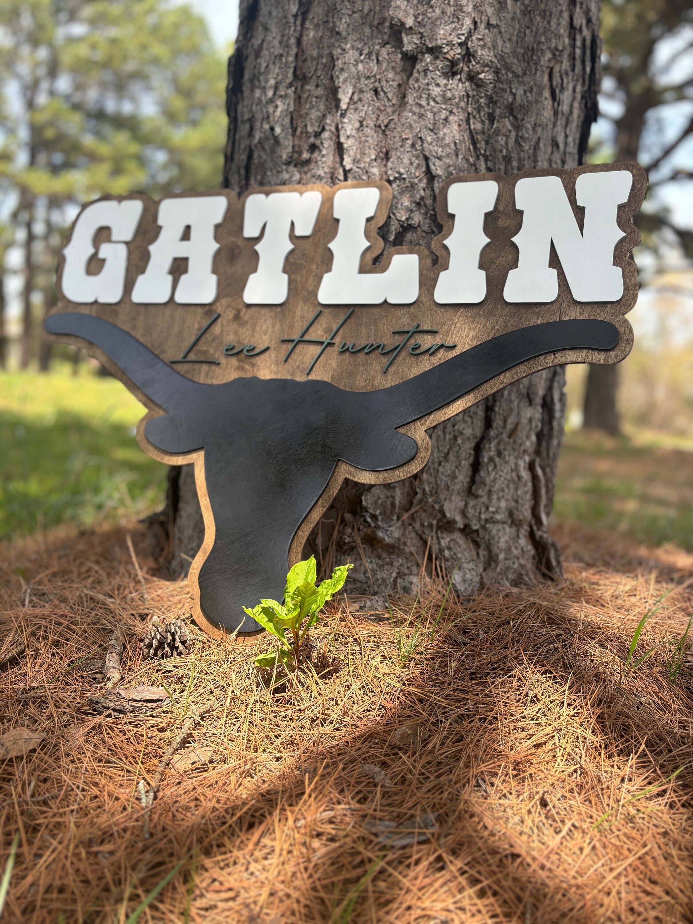 Custom Cow Name Sign for Boys Nursery Longhorn Name Sign Wall Decor ...