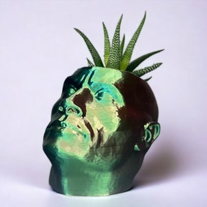 Dwayne “the Rock” Johnson Plant Pot - Etsy
