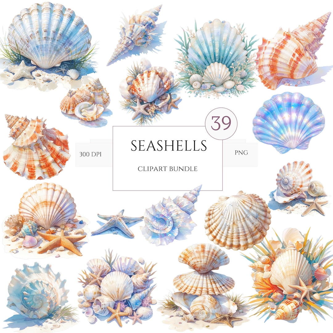 39 Seashell Png, Watercolor Seashell Clipart, Beach Clipart, Nautical ...