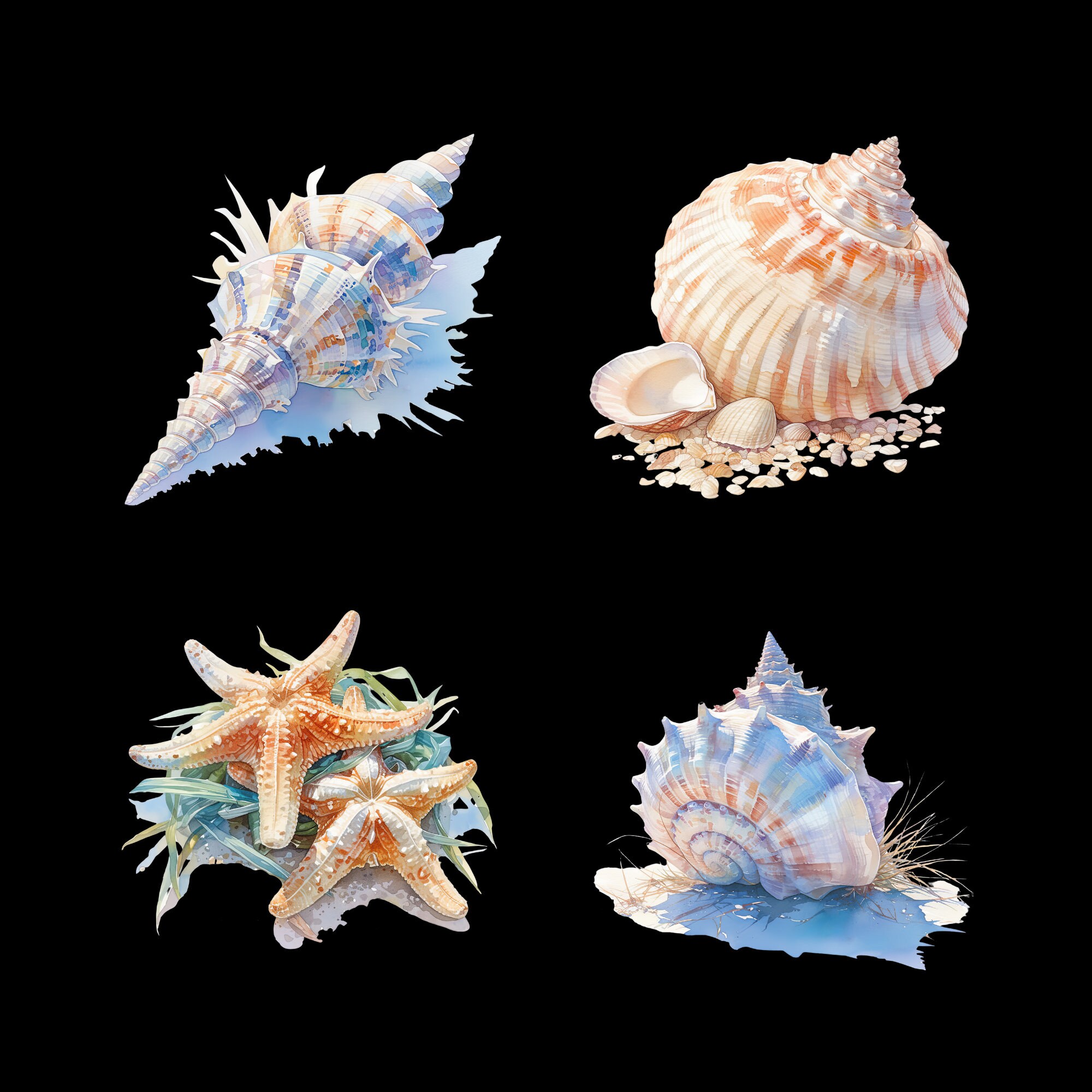 39 Seashell Png, Watercolor Seashell Clipart, Beach Clipart, Nautical ...