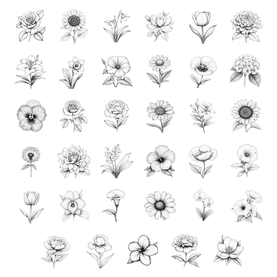 Black White Flowers Clipart Bundle, Flower Sketch Clipart, Flower ...