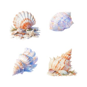 39 Seashell Png, Watercolor Seashell Clipart, Beach Clipart, Nautical ...