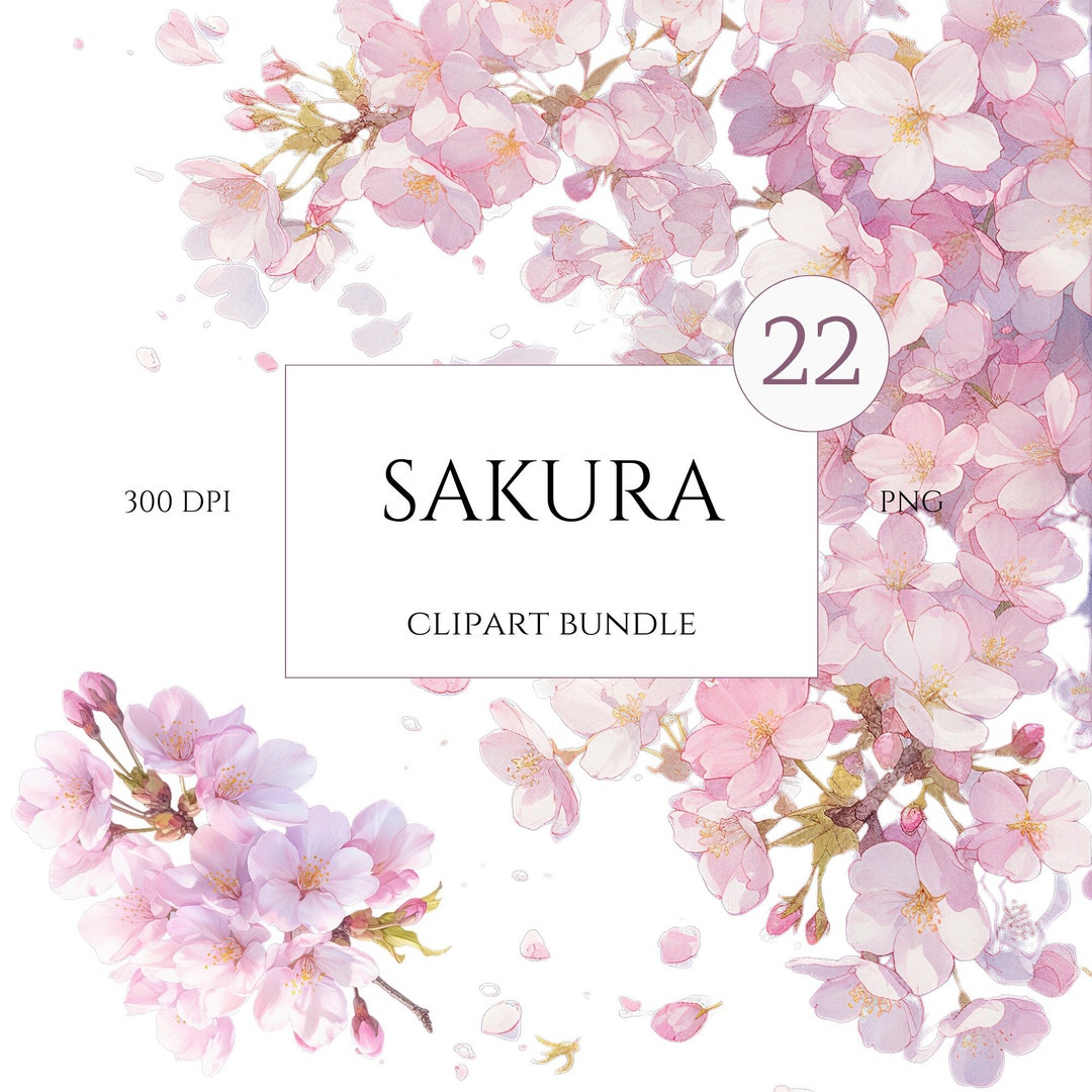 Watercolor Cherry Blossoms Clipart, Sakura Clipart, Floral Branches ...