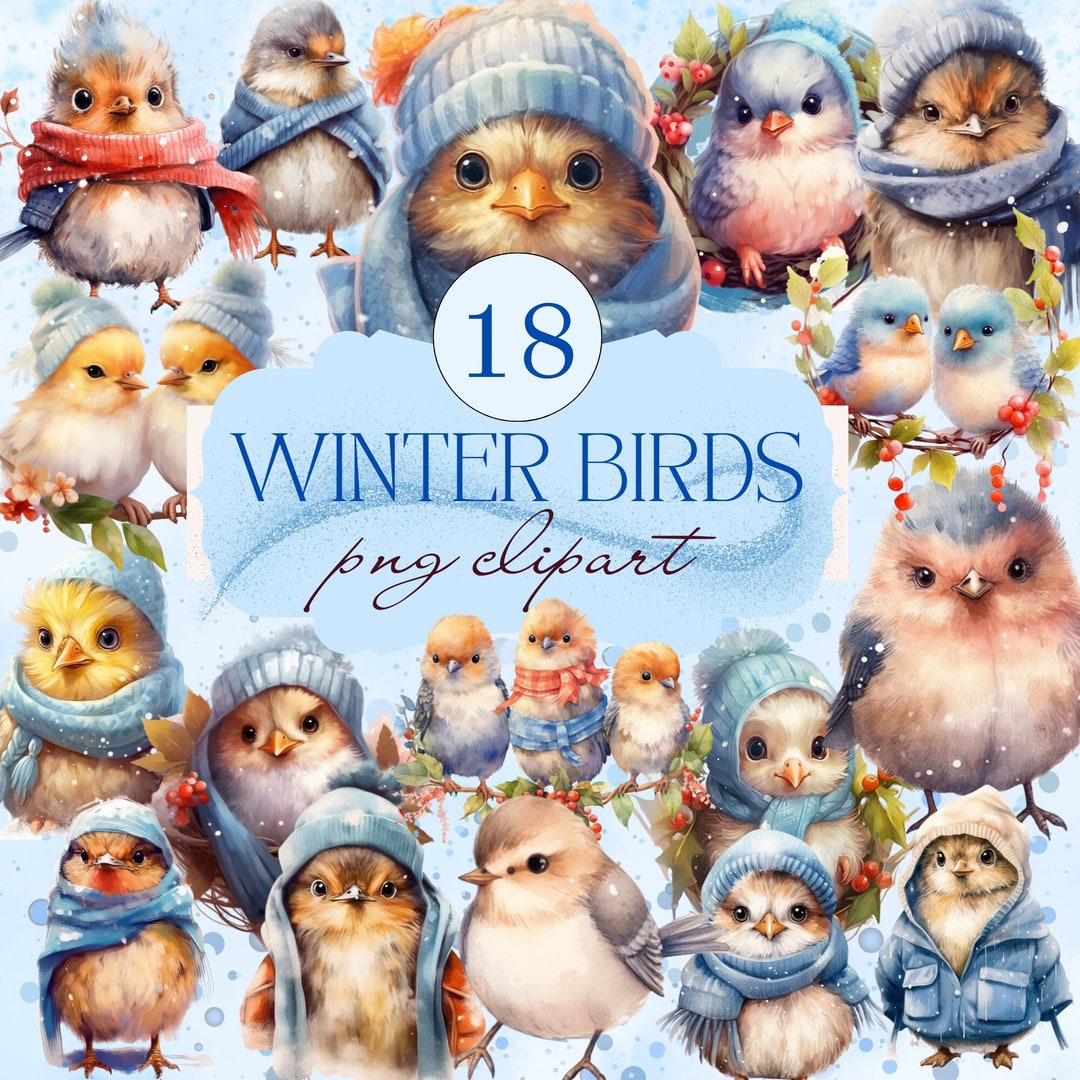 Winter Bird Clipart | Winter Clipart Bundle | Stunning Watercolor Bird ...