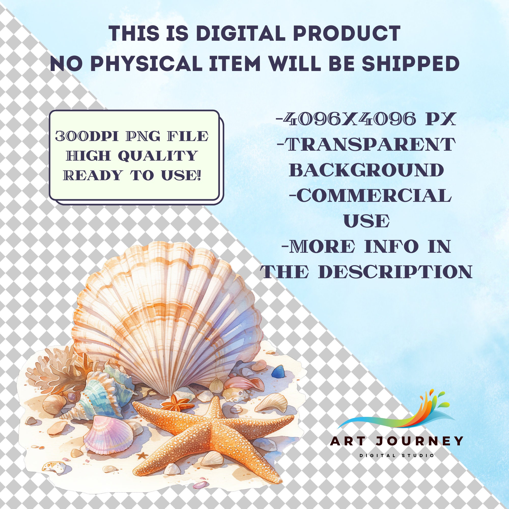 39 Seashell Png, Watercolor Seashell Clipart, Beach Clipart, Nautical ...