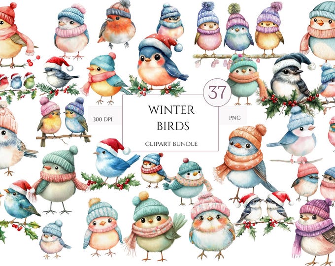 Christmas Birds | Clipart Bundle | 300 Dpi High Quality | Commercial ...