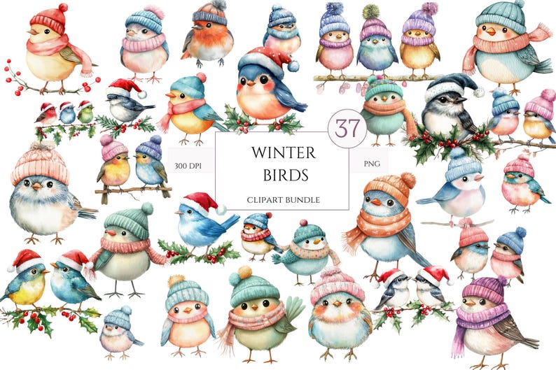 37 Christmas Bird PNG Clipart Bundle, Watercolor Xmas Bird Transparent ...