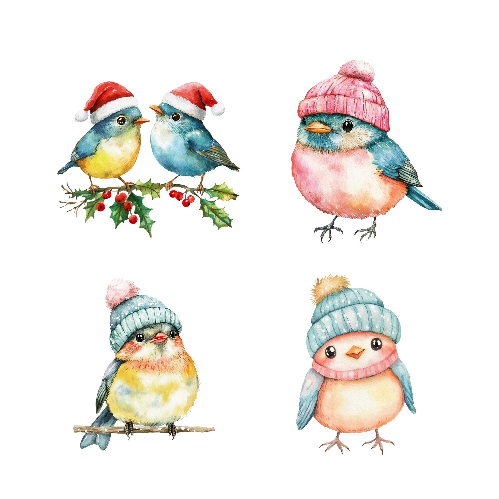 37 Christmas Bird PNG Clipart Bundle, Watercolor Xmas Bird Transparent ...
