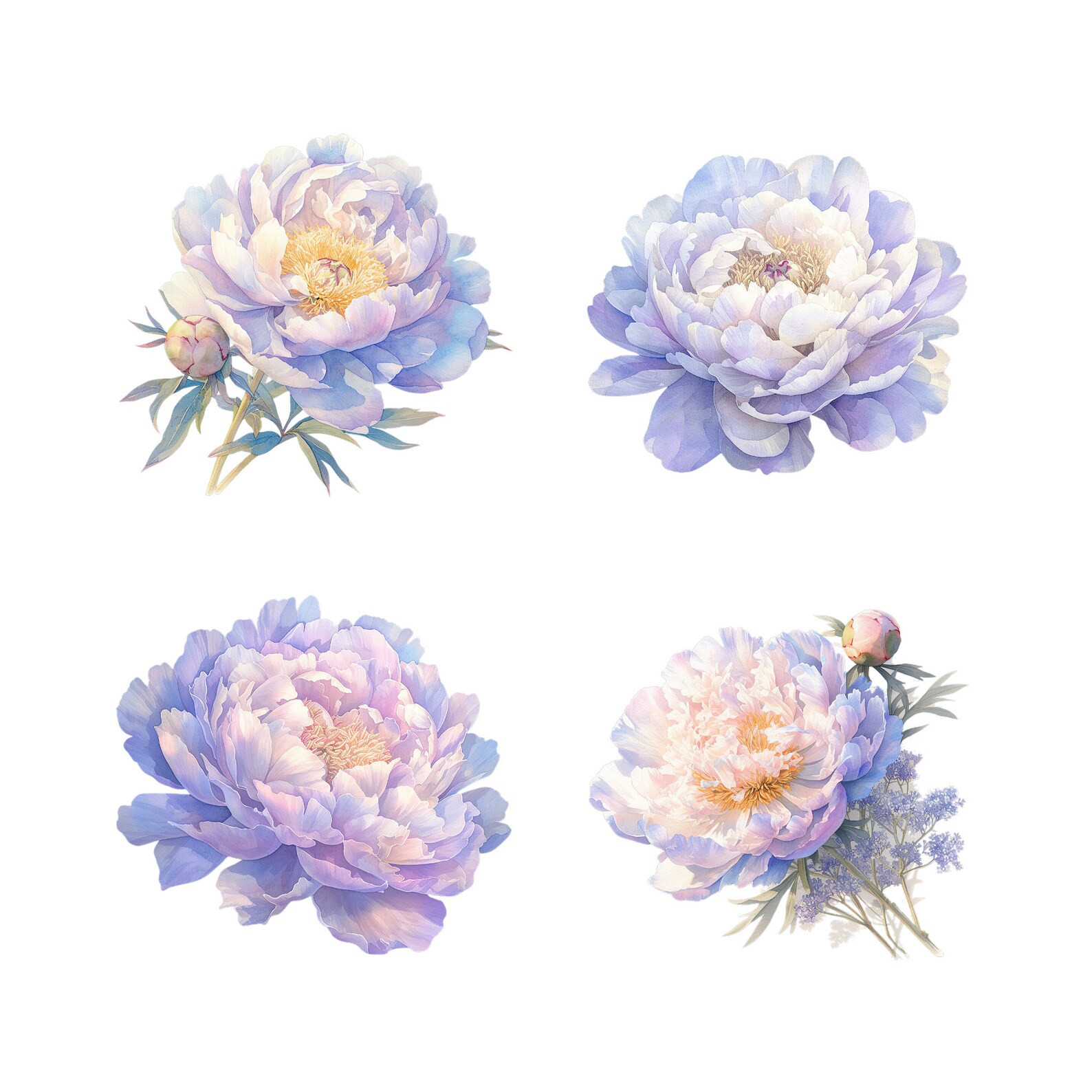 20 Peonies Bouquet Clipart, Peonies Print, Printable Watercolor Clipart ...