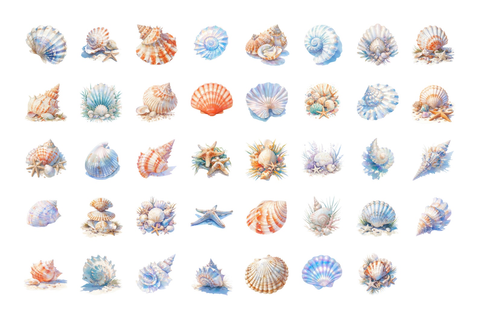 39 Seashell Png, Watercolor Seashell Clipart, Beach Clipart, Nautical ...