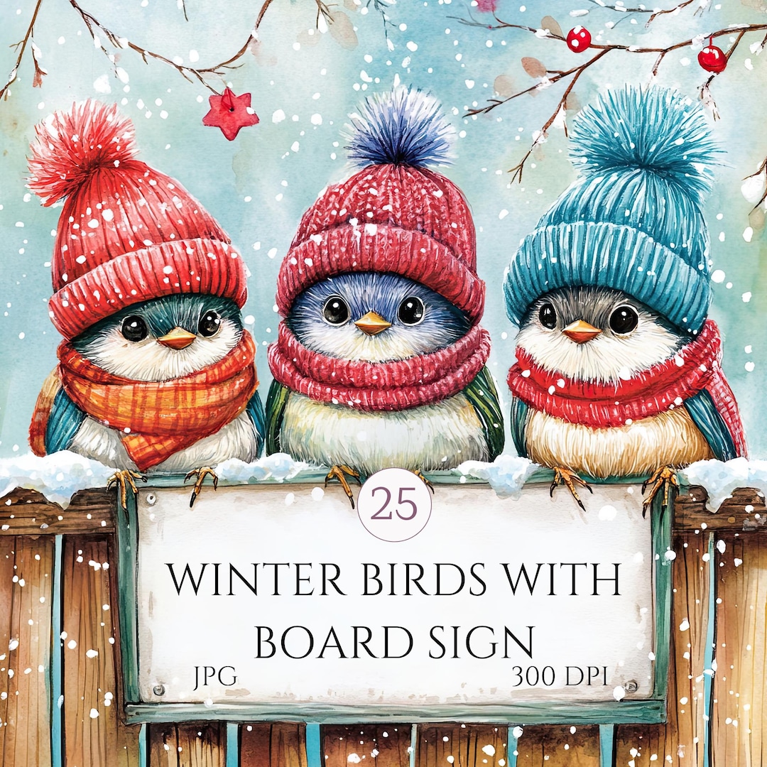 25 Jpgs Quirky Winter Birds Clipart Bundle, Watercolor Christmas Birds ...