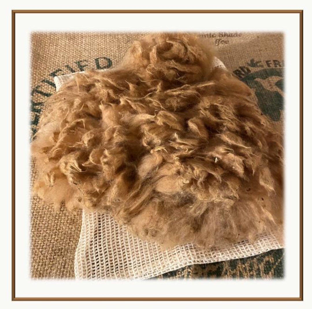 Soft Paco-vicuna Luxury Rare & Fine Wool - Raw Fiber (28g) - A Spinner ...