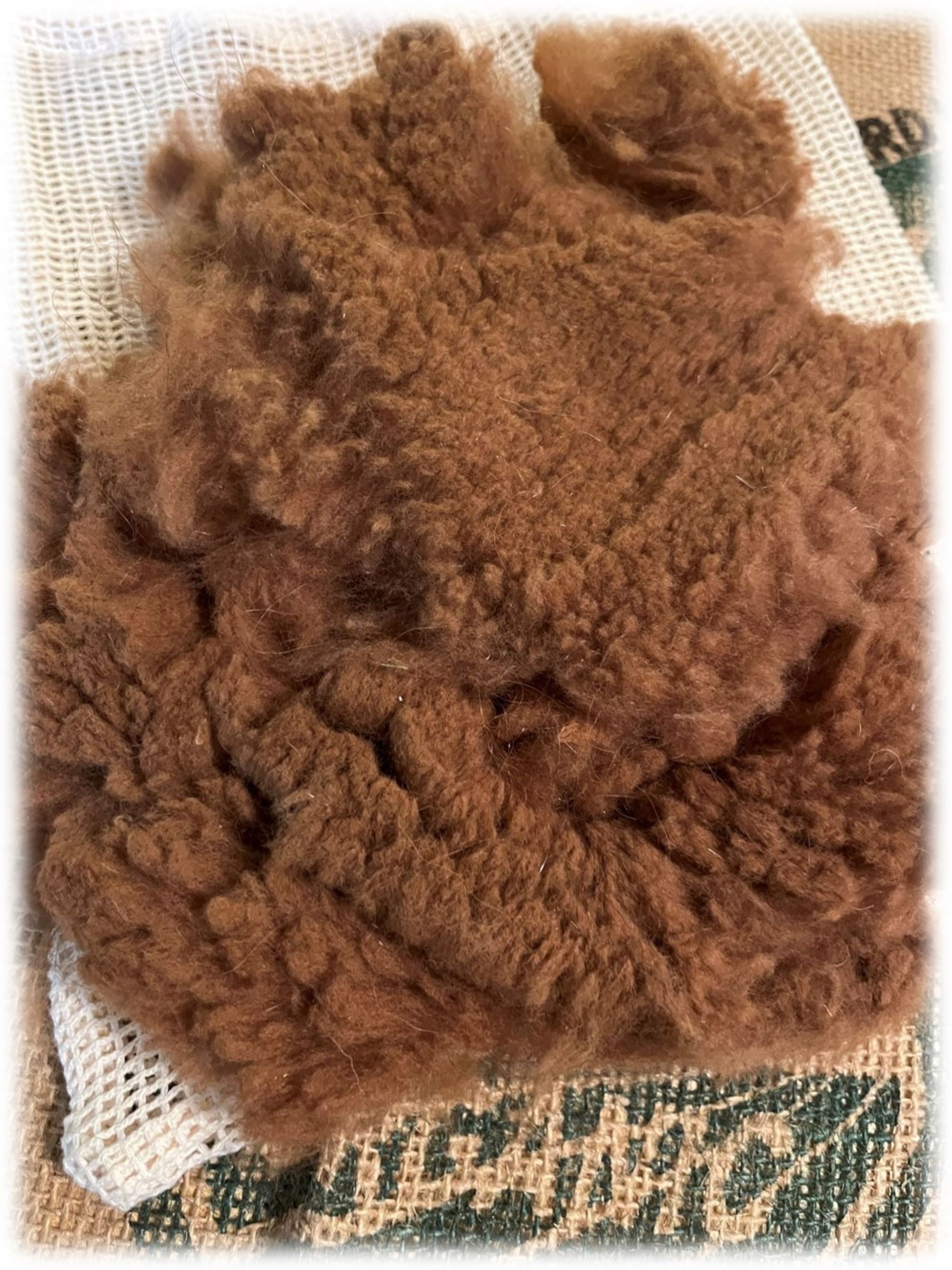 Soft Paco-vicuna Luxury Rare & Fine Wool - Raw Fiber (28g) - A Spinner ...