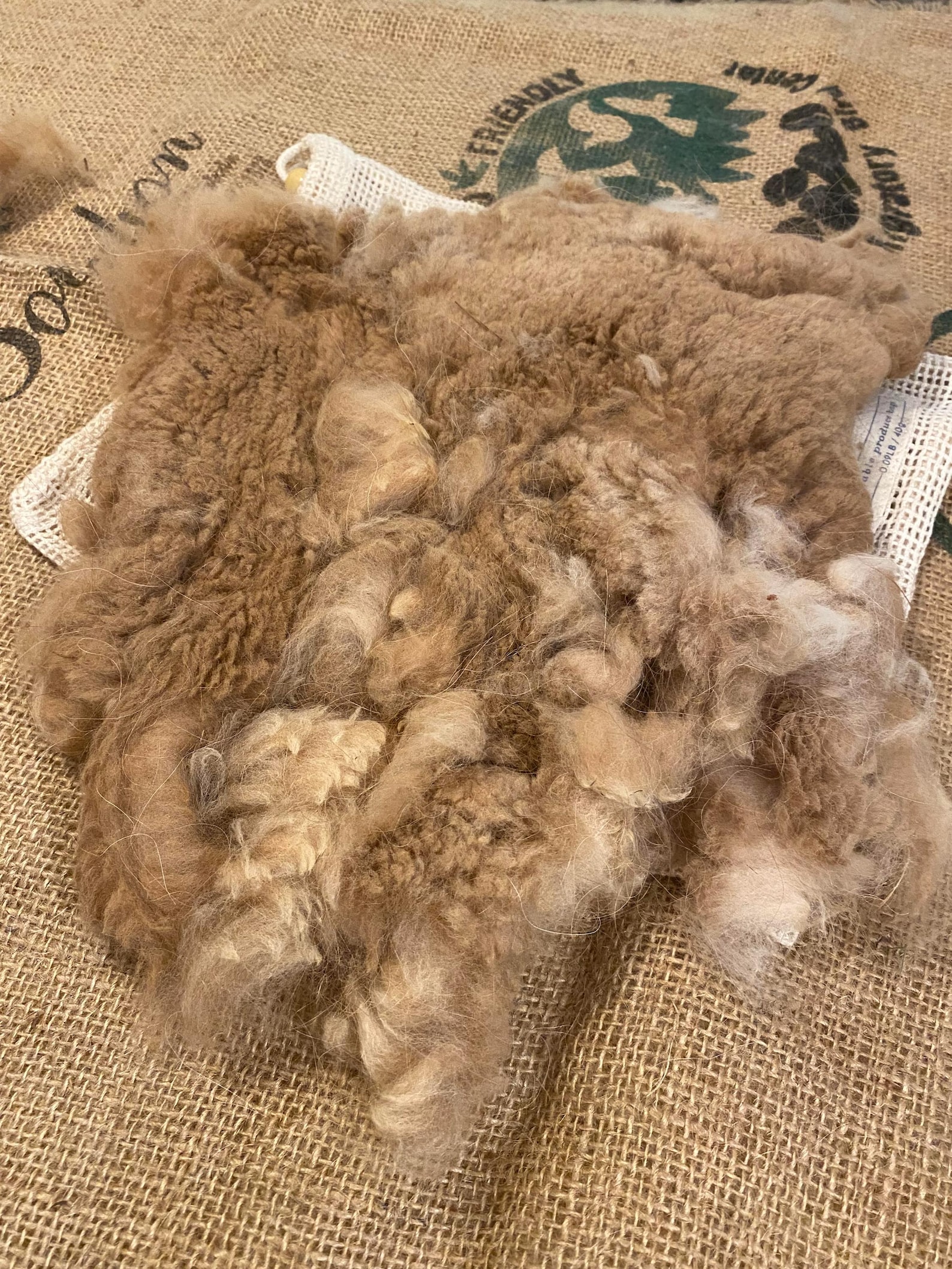 Soft Paco-vicuna Luxury Rare & Fine Wool - Raw Fiber (28g) - A Spinner ...