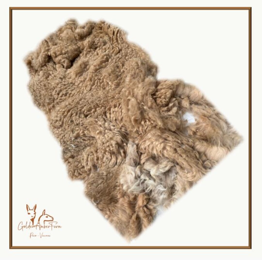 Soft Paco-vicuna Luxury Rare & Fine Wool - One Whole Raw Fleece Blanket ...