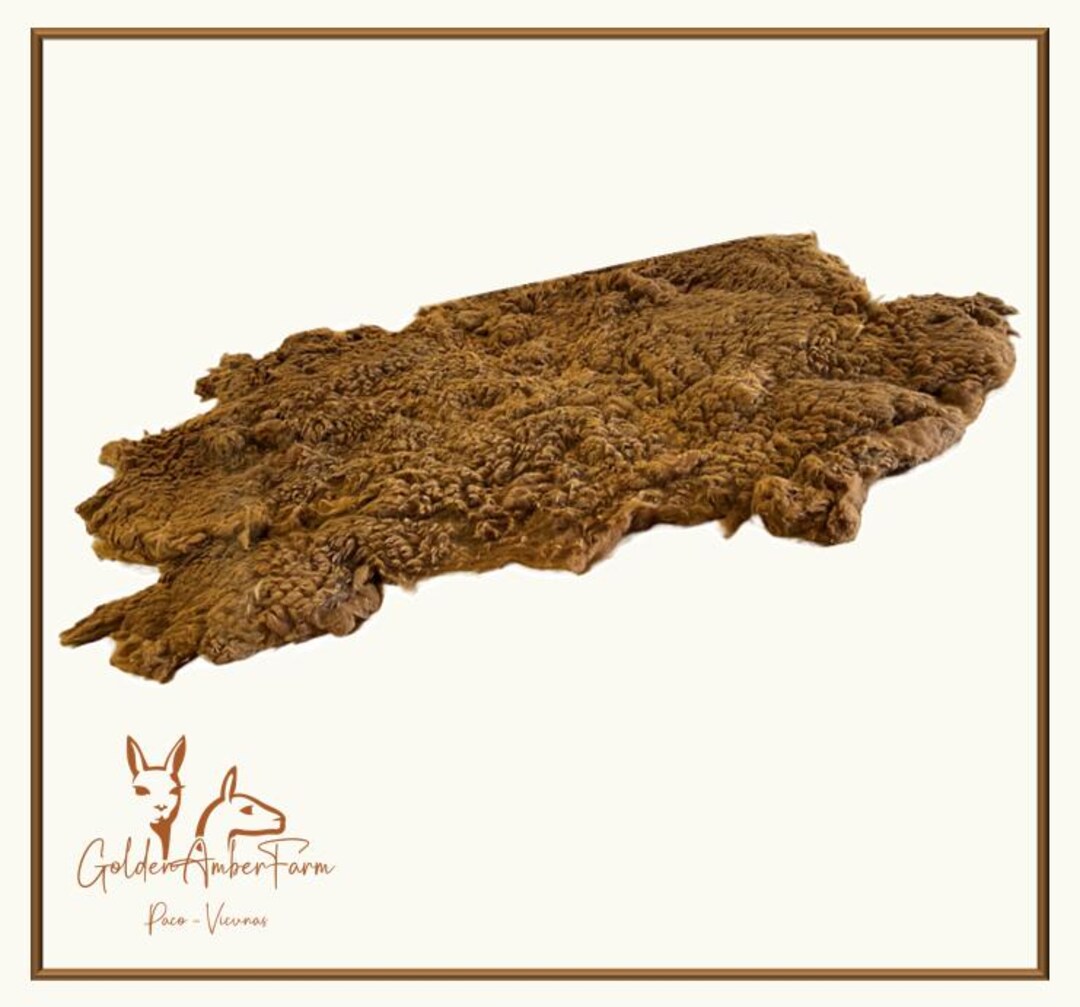 Soft Paco-vicuna Luxury Rare & Fine Wool - One Whole Raw Fleece - A ...