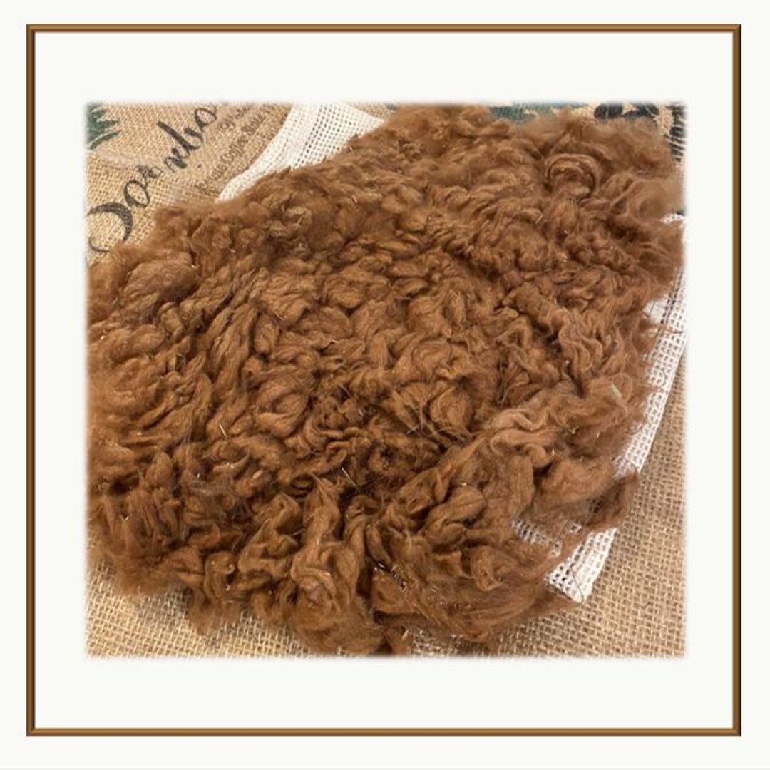 Soft Paco-vicuna Luxury Rare & Fine Wool - Raw Fiber (28g) - A Spinner ...
