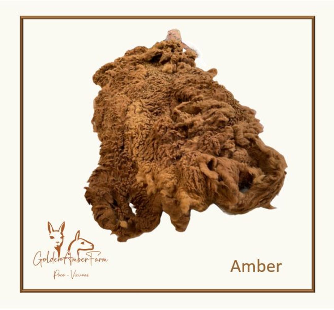 Soft Paco-vicuna Luxury Rare & Fine Wool - One Whole Raw Fleece - A ...