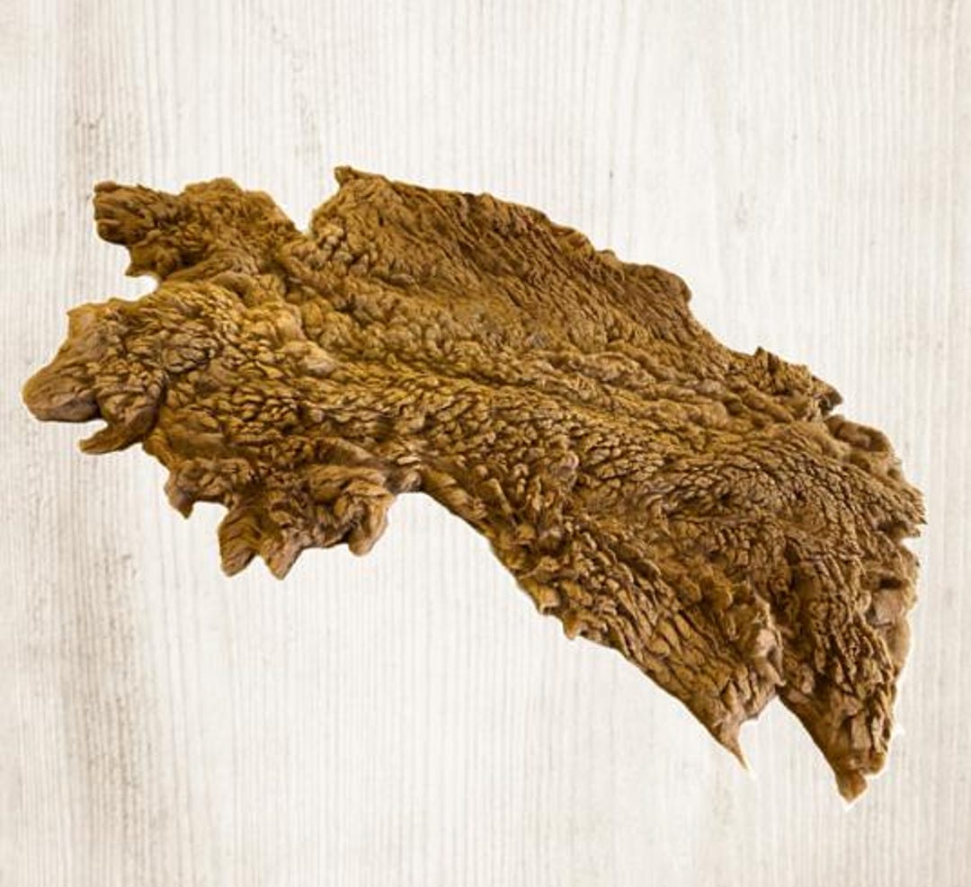 Soft Paco-vicuna Luxury Rare & Fine Wool - One Whole Raw Fleece - A ...