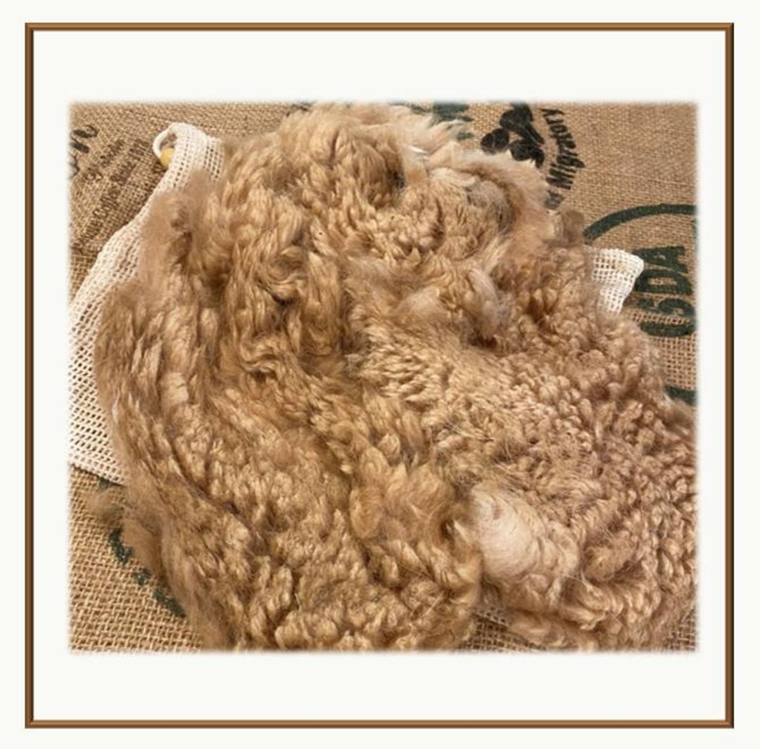 Soft Paco-vicuna Luxury Rare & Fine Wool - Raw Fiber (28g) - A Spinner ...
