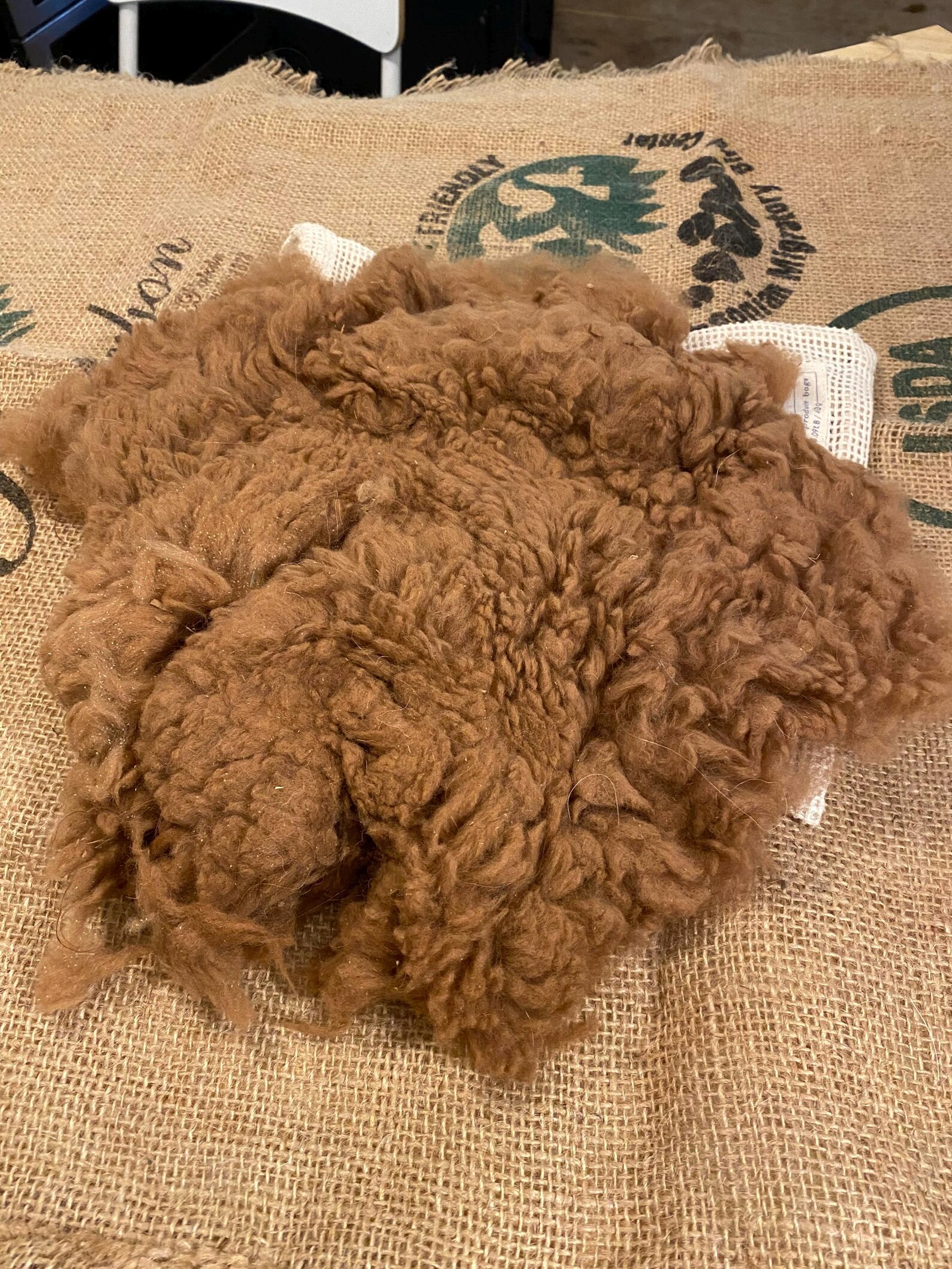 Soft Paco-vicuna Luxury Rare & Fine Wool - Raw Fiber (28g) - A Spinner ...